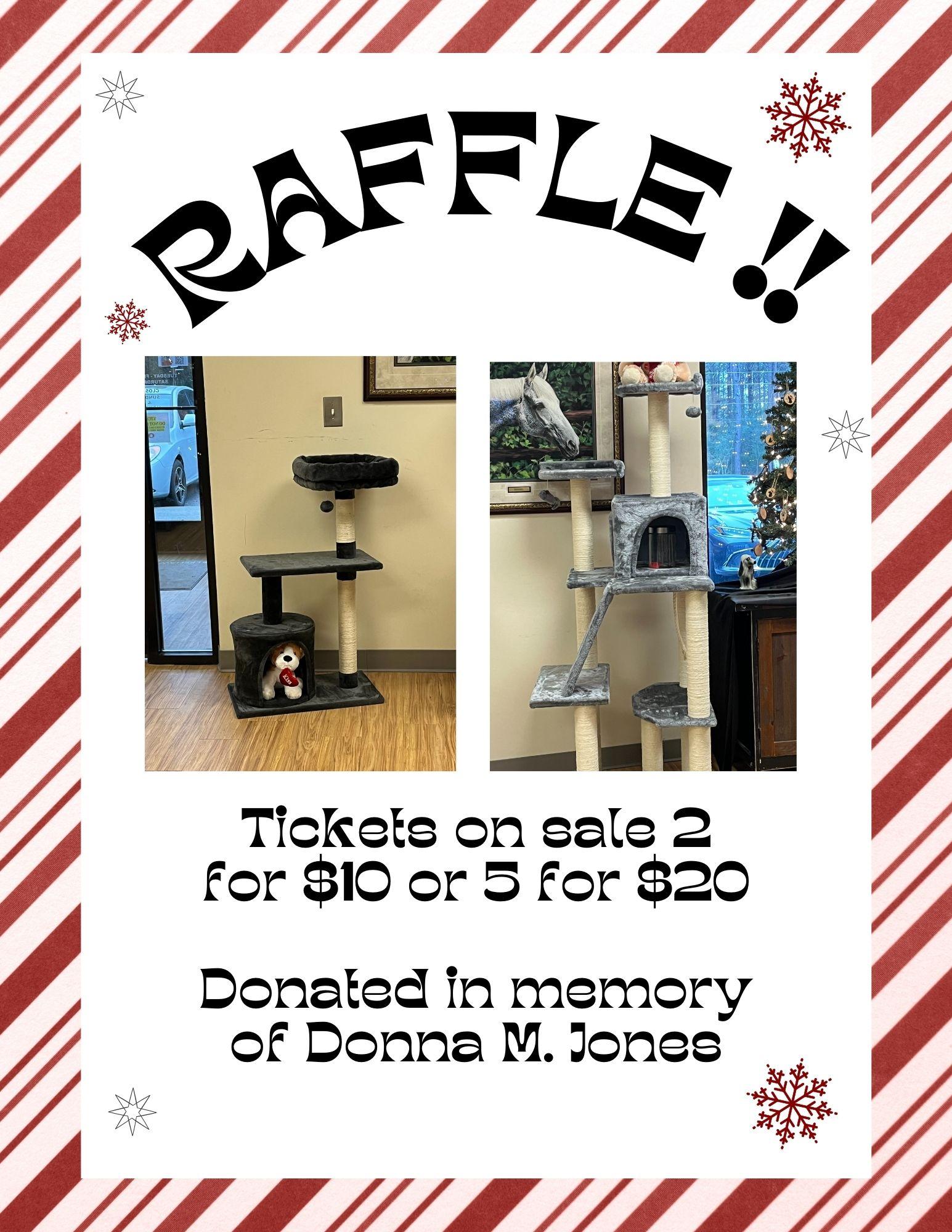 Kershaw County Humane Society | Pet Adoptions | Animal Rescue ...